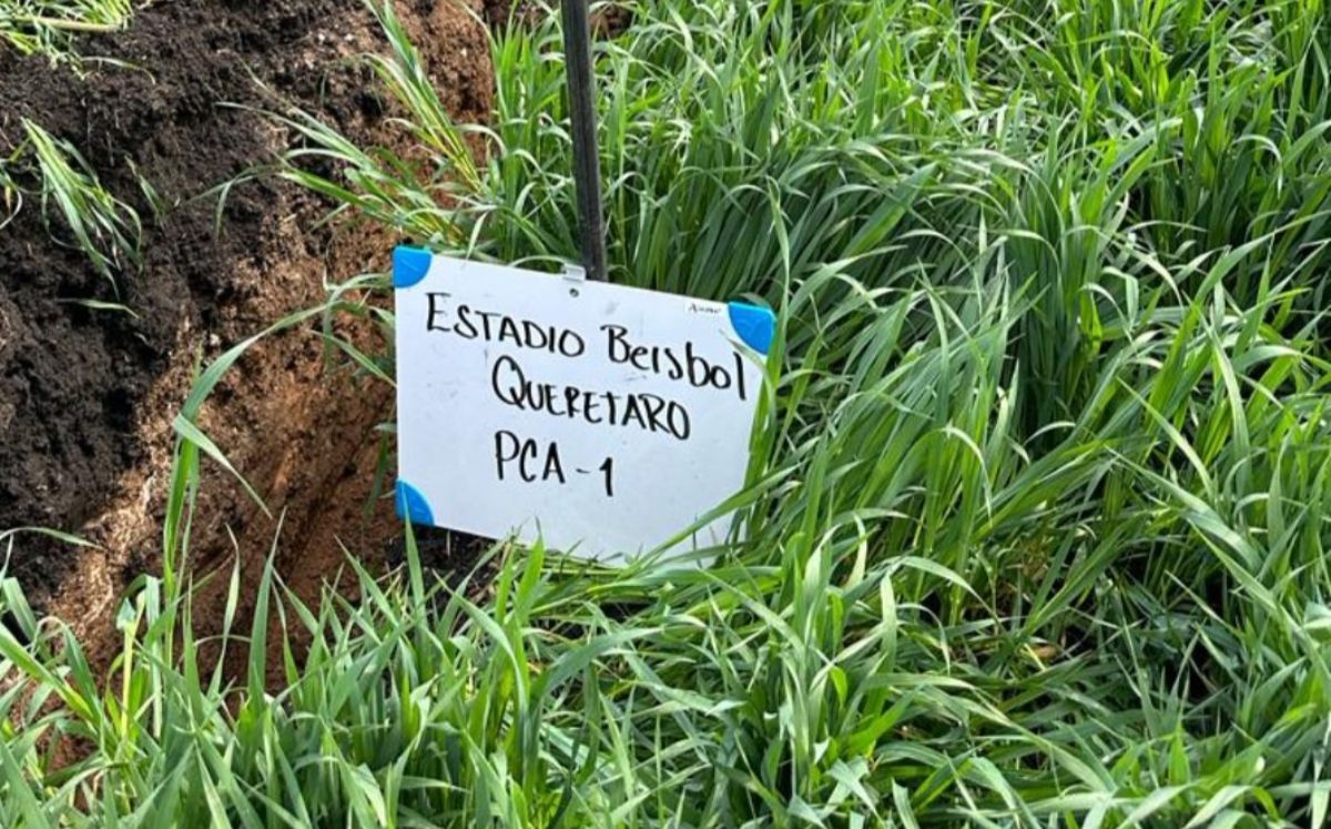 LMB: Inician trabajos para el estadio de Conspiradores de Querétaro ...